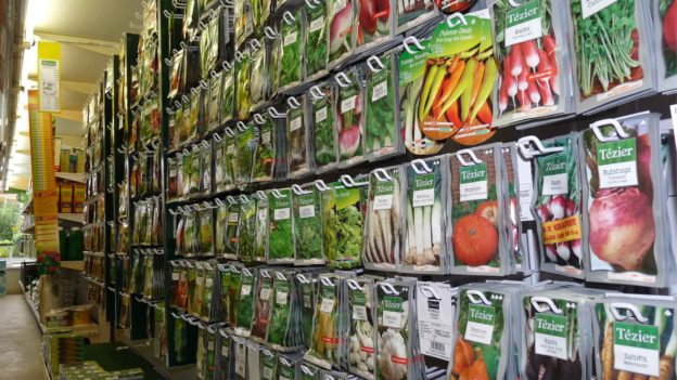 Bien choisir ses graines : mes conseils pour un potager productif