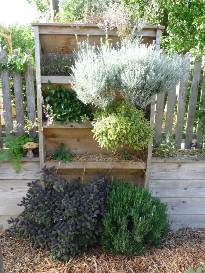 Fabriquer un potager vertical en permaculture