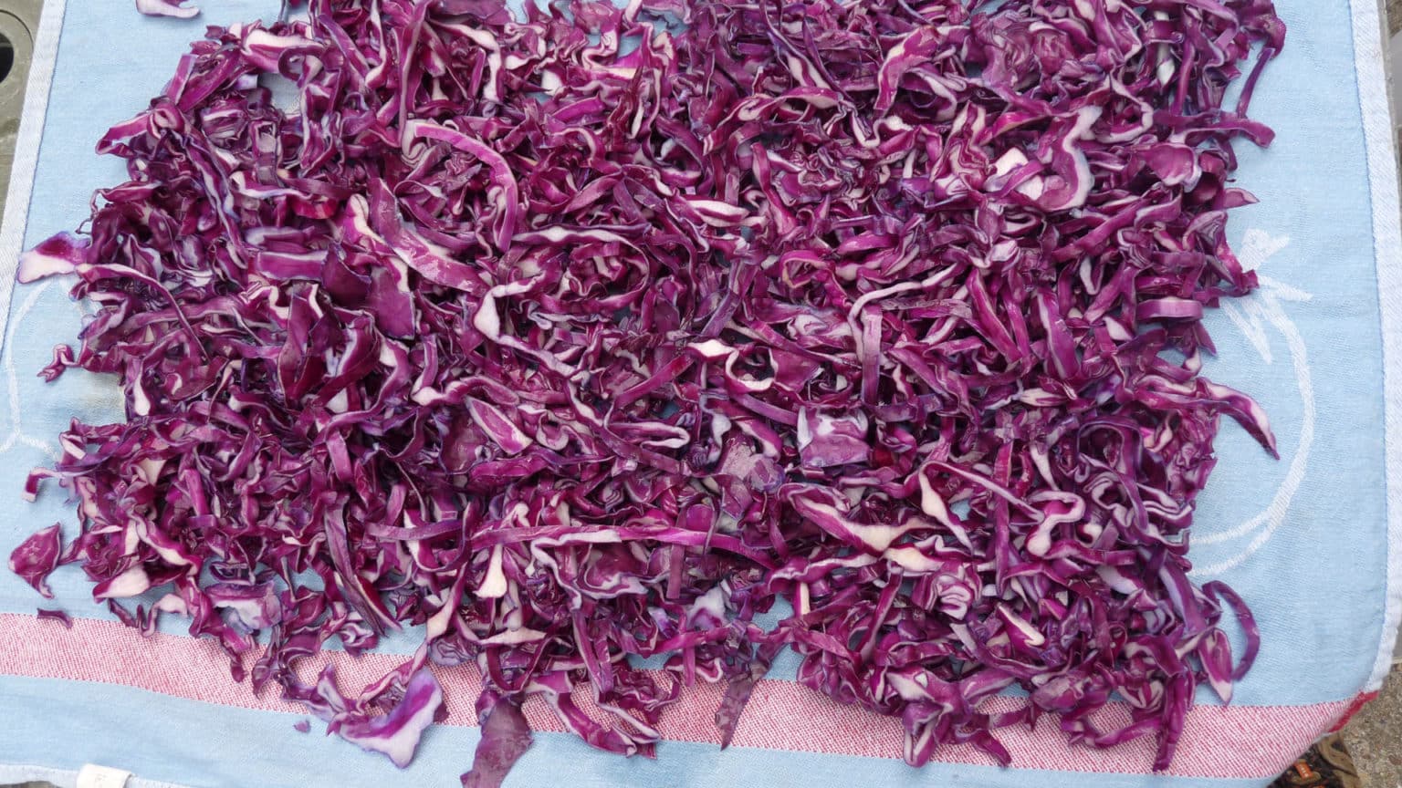 Mes conserves de choux rouge