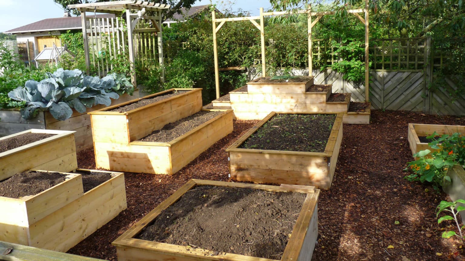 Créez Votre Potager Surélevé : Le Guide Ultime pour un Jardin Productif