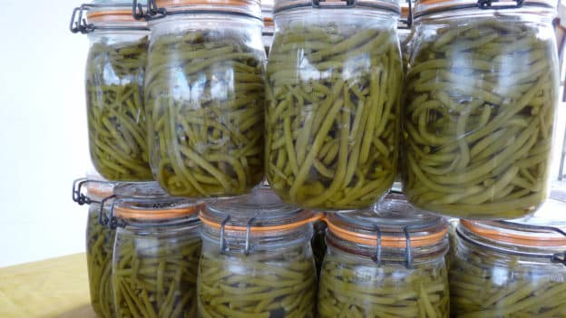 Conserve de haricots en pots - Mon potager en carrés