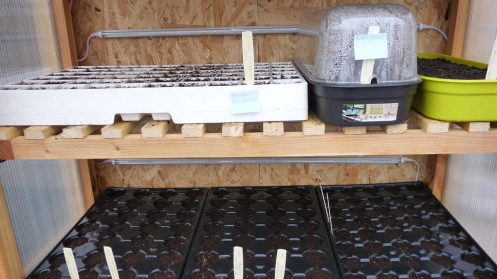 Télécharger le calendrier des semis au potager
