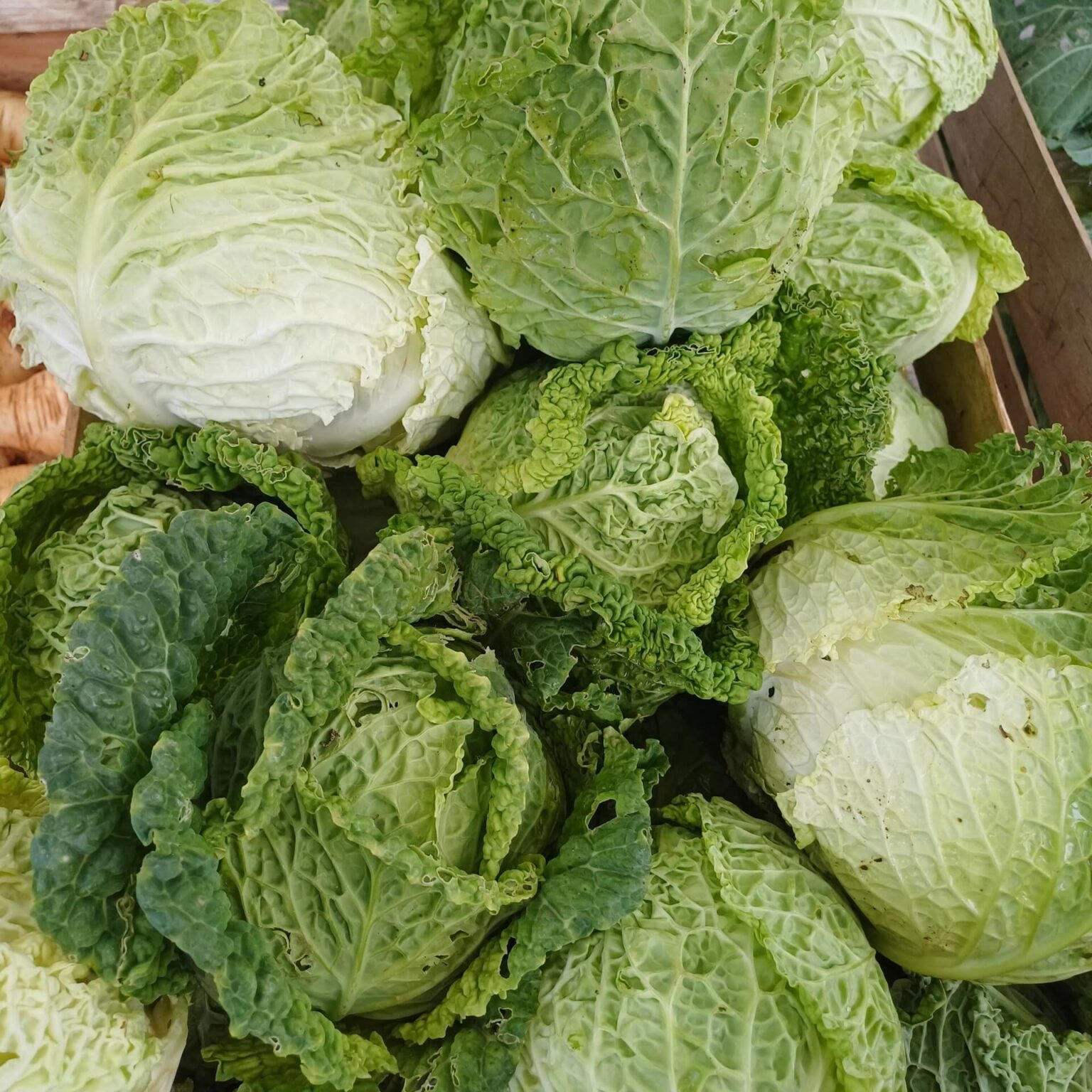 Le Meilleur des Légumes de Novembre : Des Recettes Pour Enchanter Votre ...